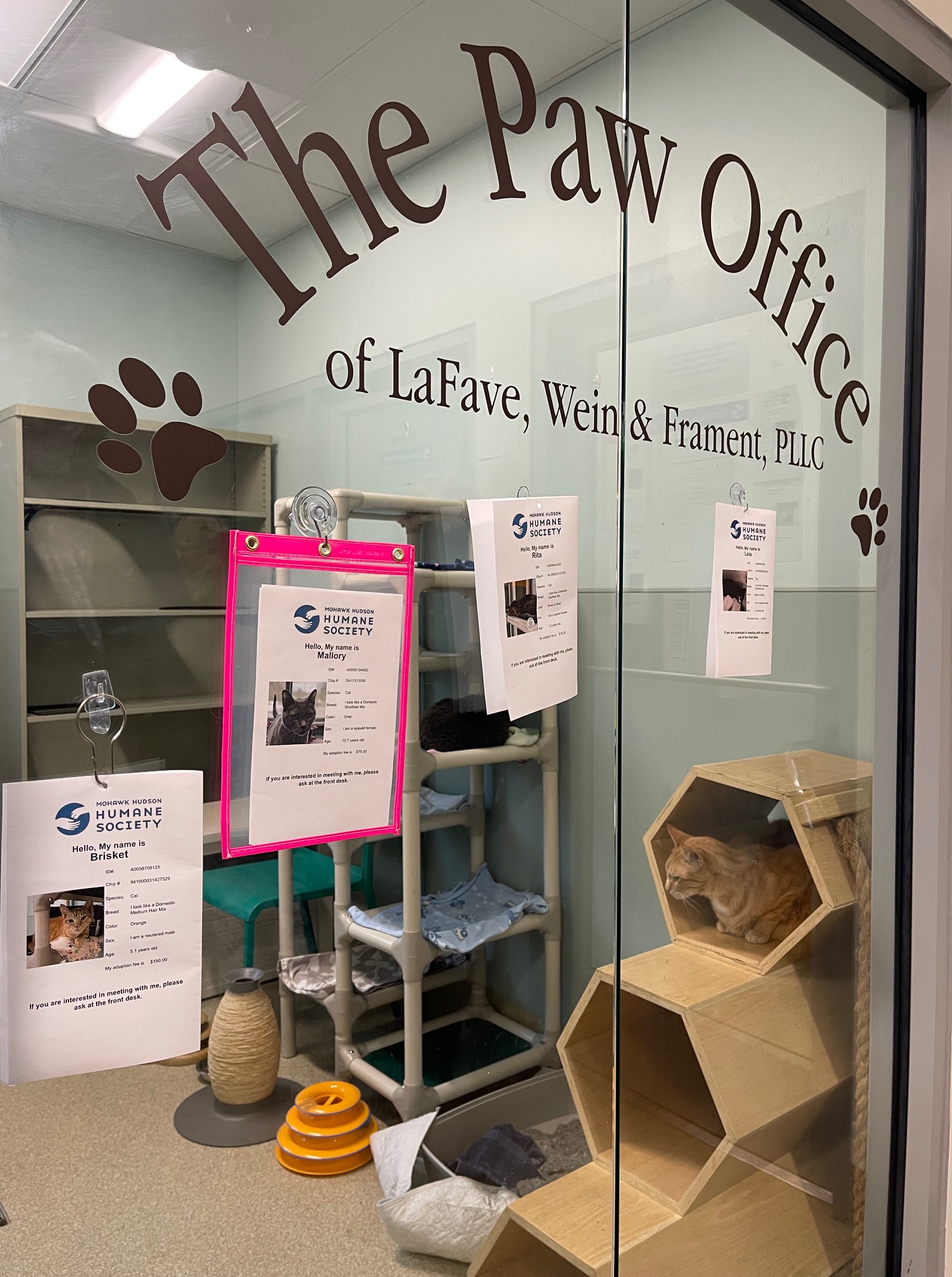 Mohawk Hudson Humane Society – Southern Rensselaer County Rotary Club